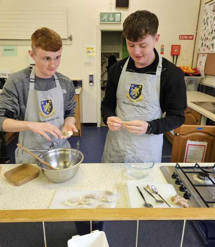 LCA and Japanese gyoza making (by Ms O’Loughlin)- Pics – Mount Temple ...